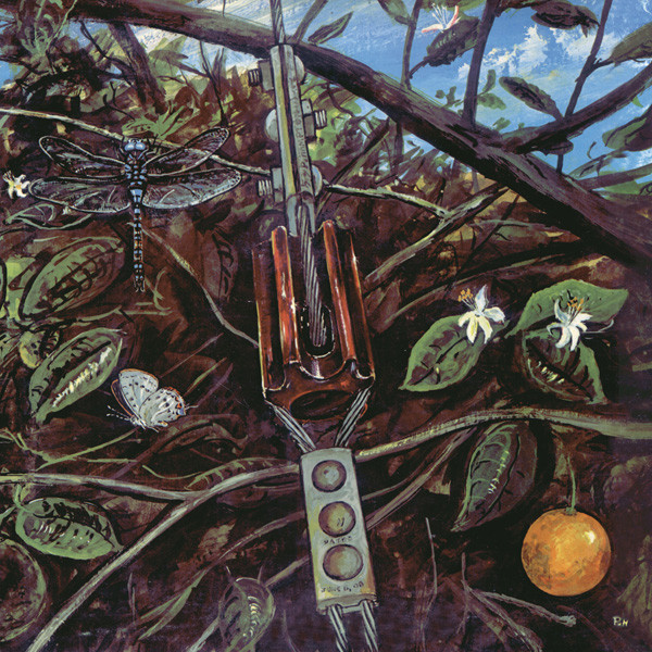 Dragonfly (8) - Dragonfly | 3rd Ear Online Store